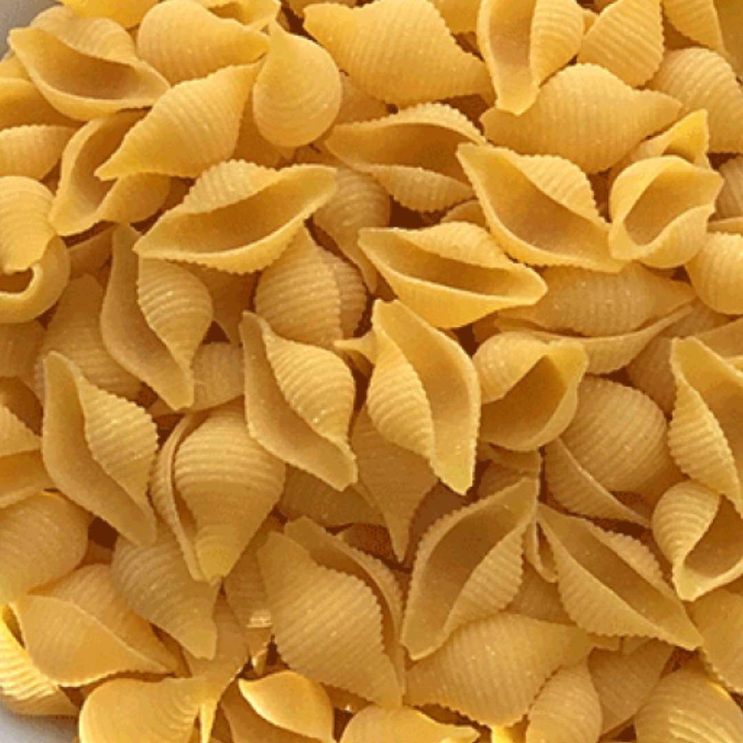 Organic Gluten Free Conchiglie Pasta Shells – SW Coast Refills